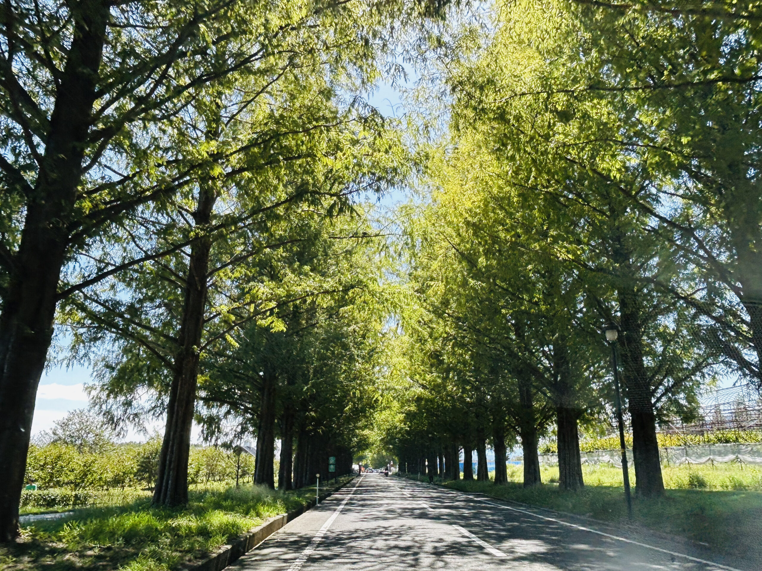 はじめまして！ | しゃぼん玉 -Shabondama-